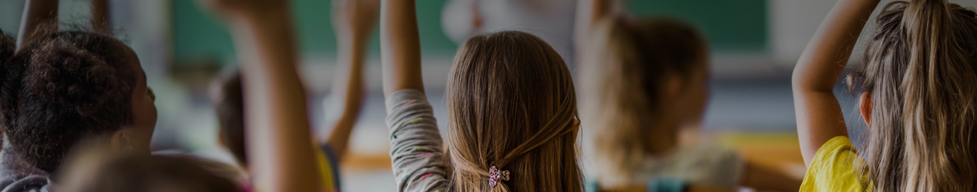 Sector Educación | Artículo20
